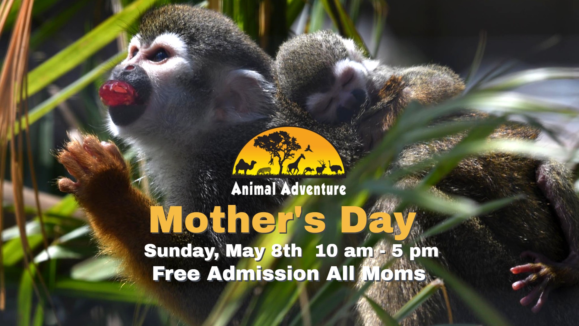 Animal Adventure Park